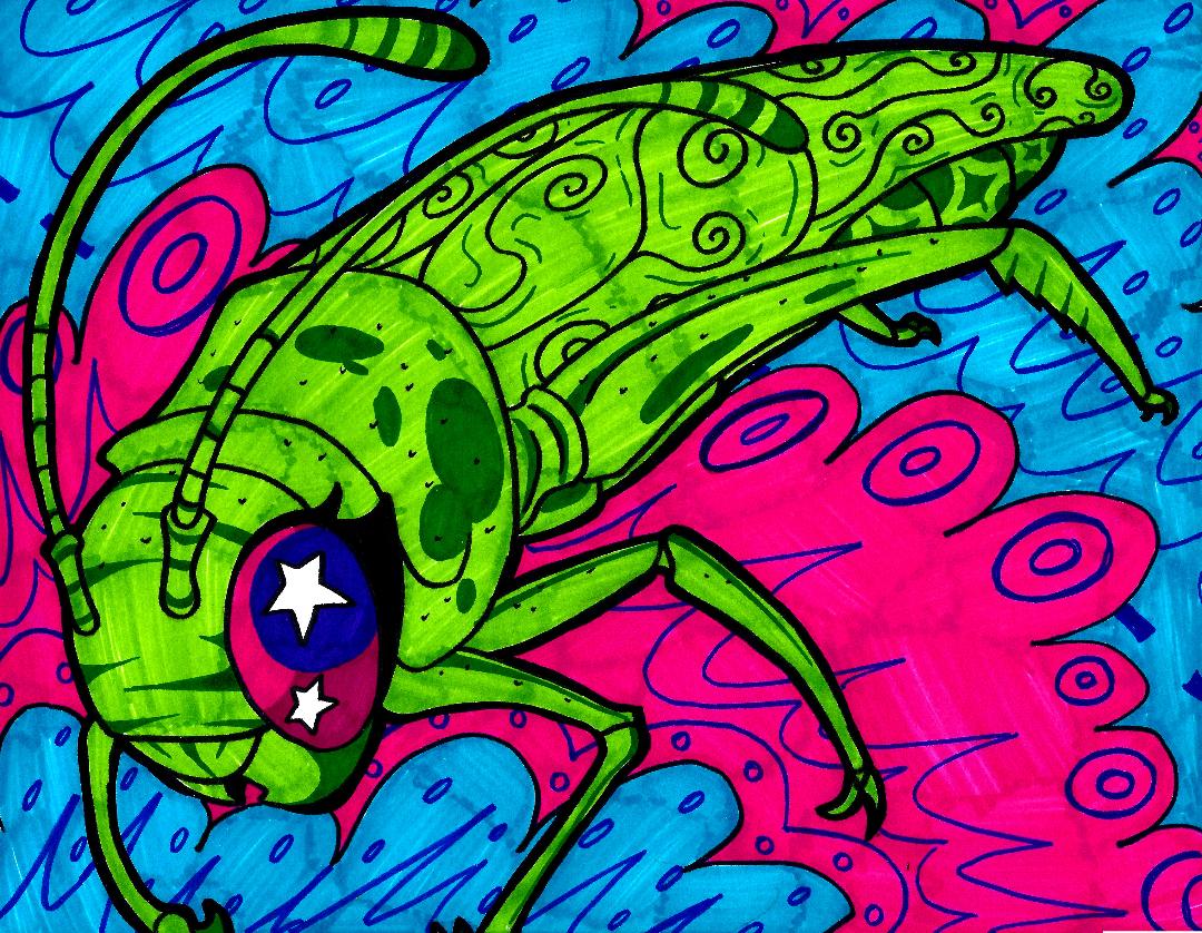 Grasshopper Tale – Dawn Napier